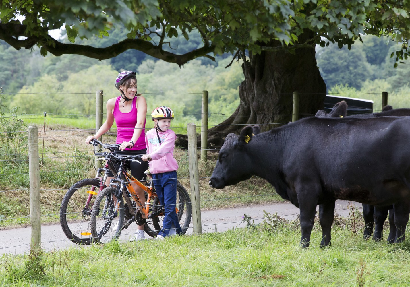 Mountain Bike Gallery of photos taken at Blessingbourne